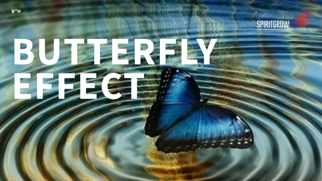 Butterfly Effect - Spiritgrow